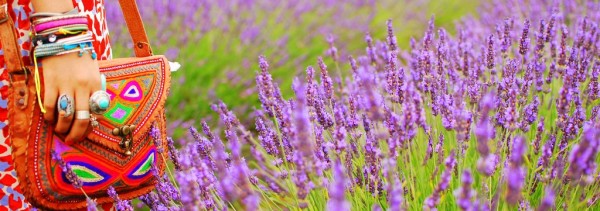 6 Instagrammable & Best flower farms to visit in London Summer ...