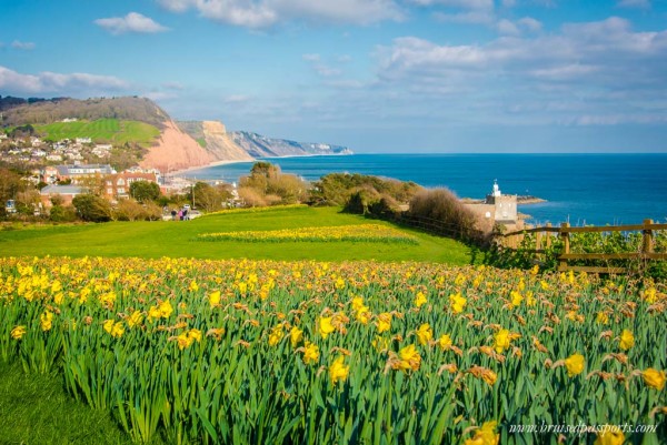 Road Trip from London To Devon: An Enchanted Getaway - Bruised Passports