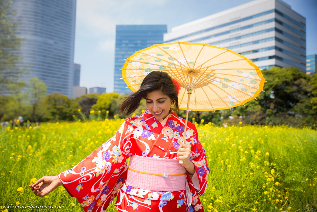 A Guide to Tokyo (during Cherry Blossom Season and otherwise ...