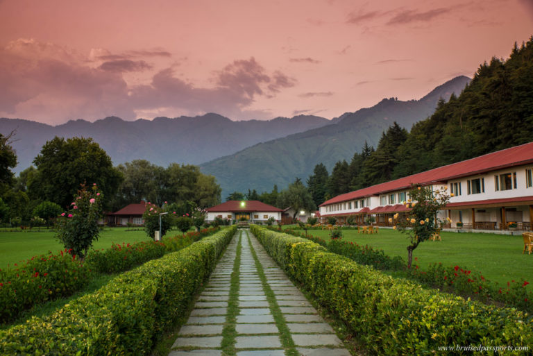 A Guide to Srinagar: Things To Do, See, and Eat - Bruised Passports