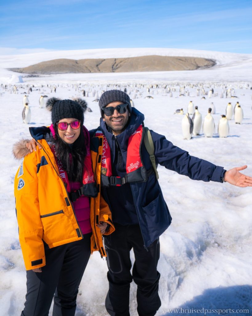 How to plan a trip to Antarctica - EVERYTHING you need to know ...
