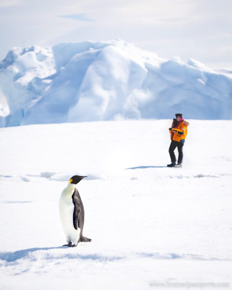How to plan a trip to Antarctica - EVERYTHING you need to know ...
