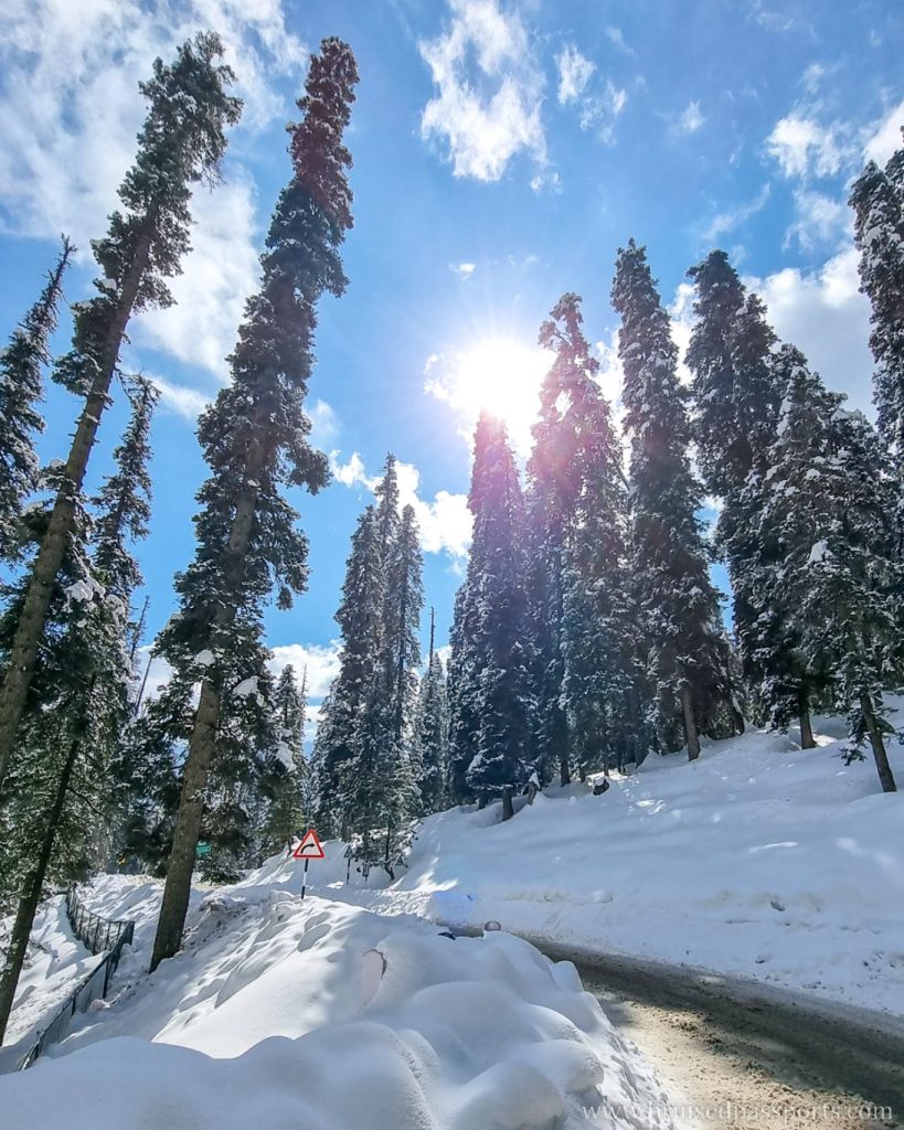 Planning the ultimate winter trip to Gulmarg - 10 Must Dos - Bruised ...