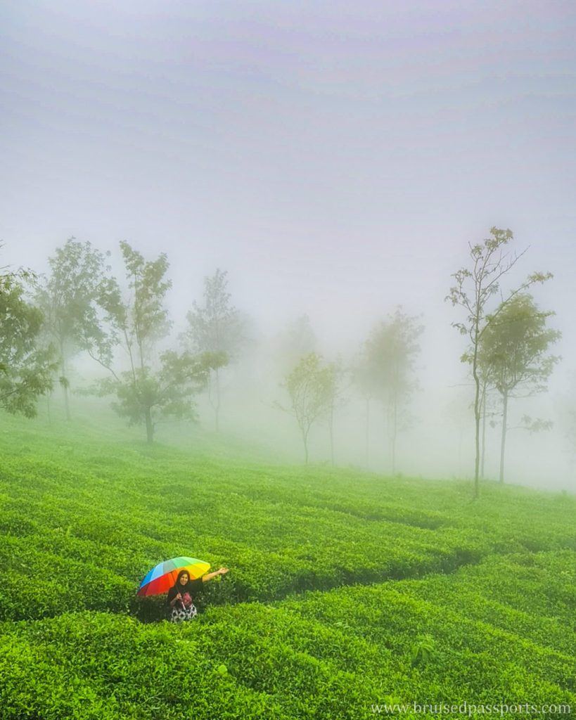 A Road Trip in Tamil Nadu - Ooty, Coonoor, and the Nilgiris - Bruised Passports