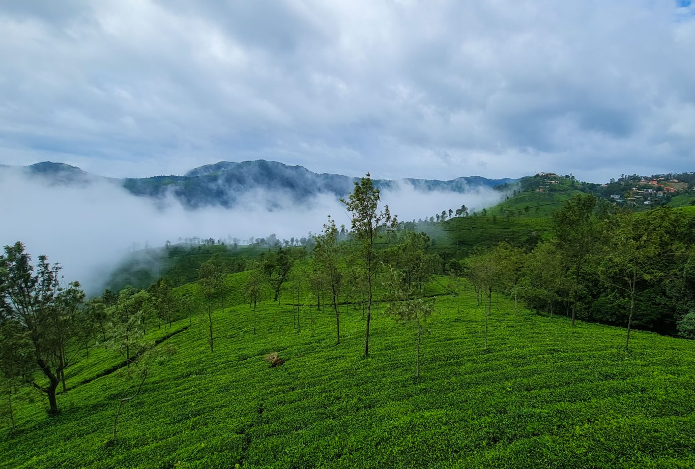 A Road Trip in Tamil Nadu - Ooty, Coonoor, and the Nilgiris - Bruised ...