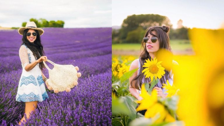 6 Instagrammable & Best flower farms to visit in London Summer ...